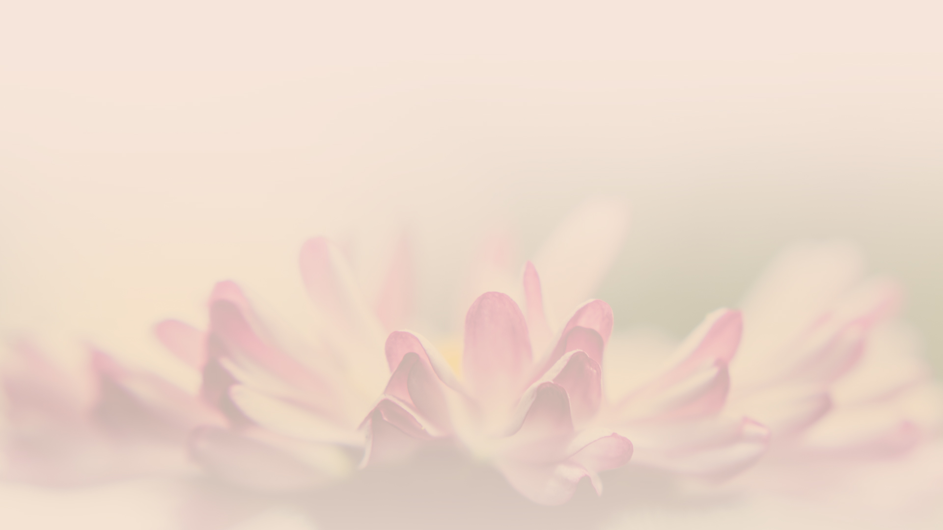 Gynecology - Dr. Elena Rodriguez